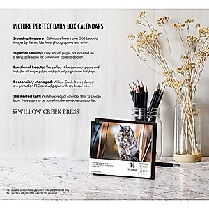 What Dogs Teach Us 2021 Box Calendar