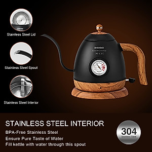 Bsigo Gooseneck Electric Kettle with Thermometer, 100% Stainless Steel for Pour-over Coffee & Tea Kettle, BPA Free, Auto Shut off Anti-dry Protection, Quick Heating Boiling Water, 1000W-0.8L, Black