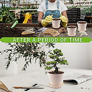 JC-JDFMY11 Gardening Potted Plants,4 Kit Kinds of Decorative Bonsai Tree Planting Kit Suitable for Indoor or Outdoor,Removable Base,with Drain Holes,Creative and Novel Gifts