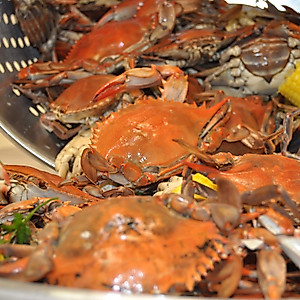 Bayou Classic Stainless Steel Boiler Cooker Kit Features 44-qt Stainless Boiler with Lid, Steam/Boil Basket, 4-in Cast Aluminum 58,000 BTU Burner, 10-psi Pre-Set Regulator and 48-in Hose