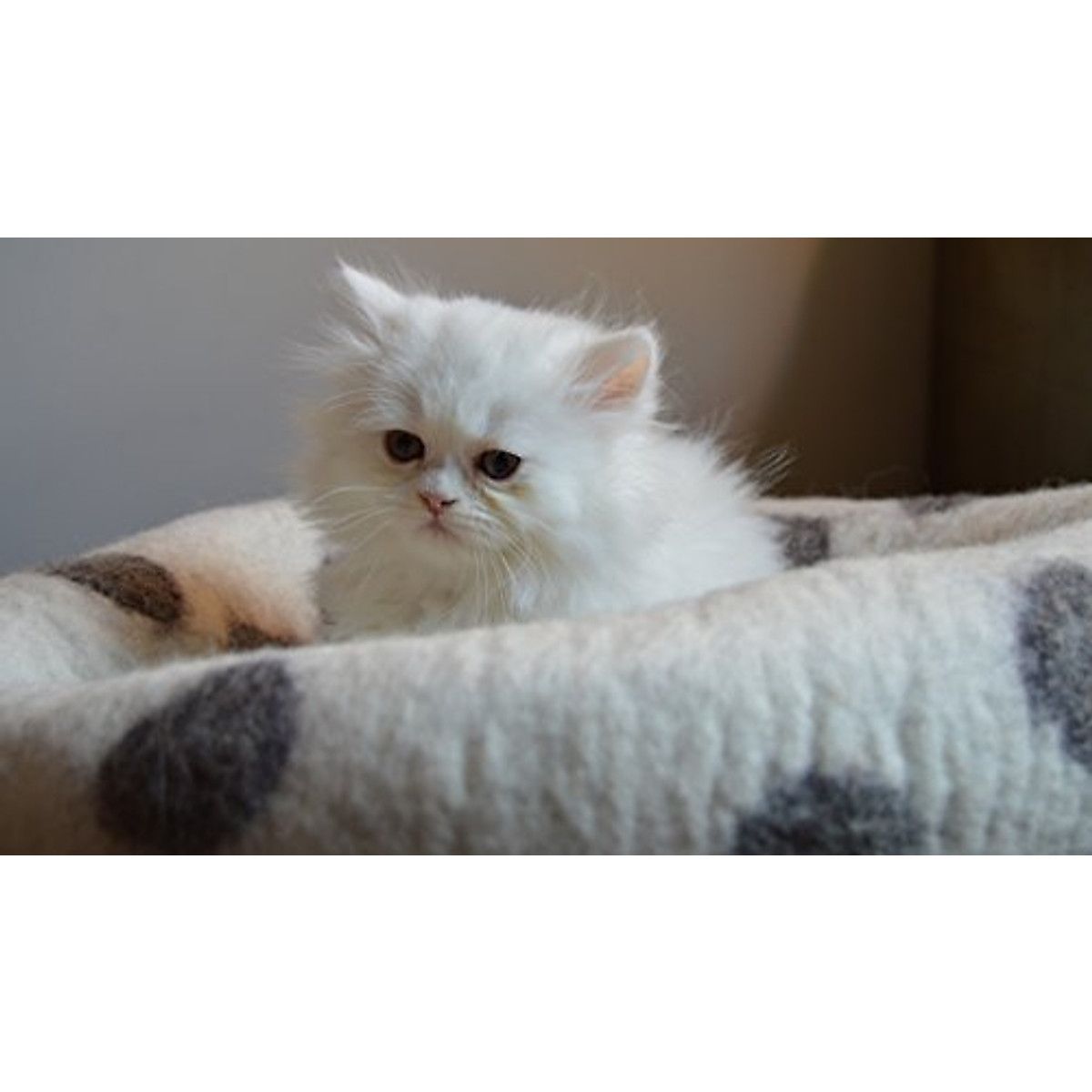 Cat Cave Bed - Gray White Handmade Felted Wool, Large Covered Cozy Cocoon, Indoor Hideaway Igloo House, Also Perfect Kitten Gift , by Earthtone Solutions (Cozy Pueblo)