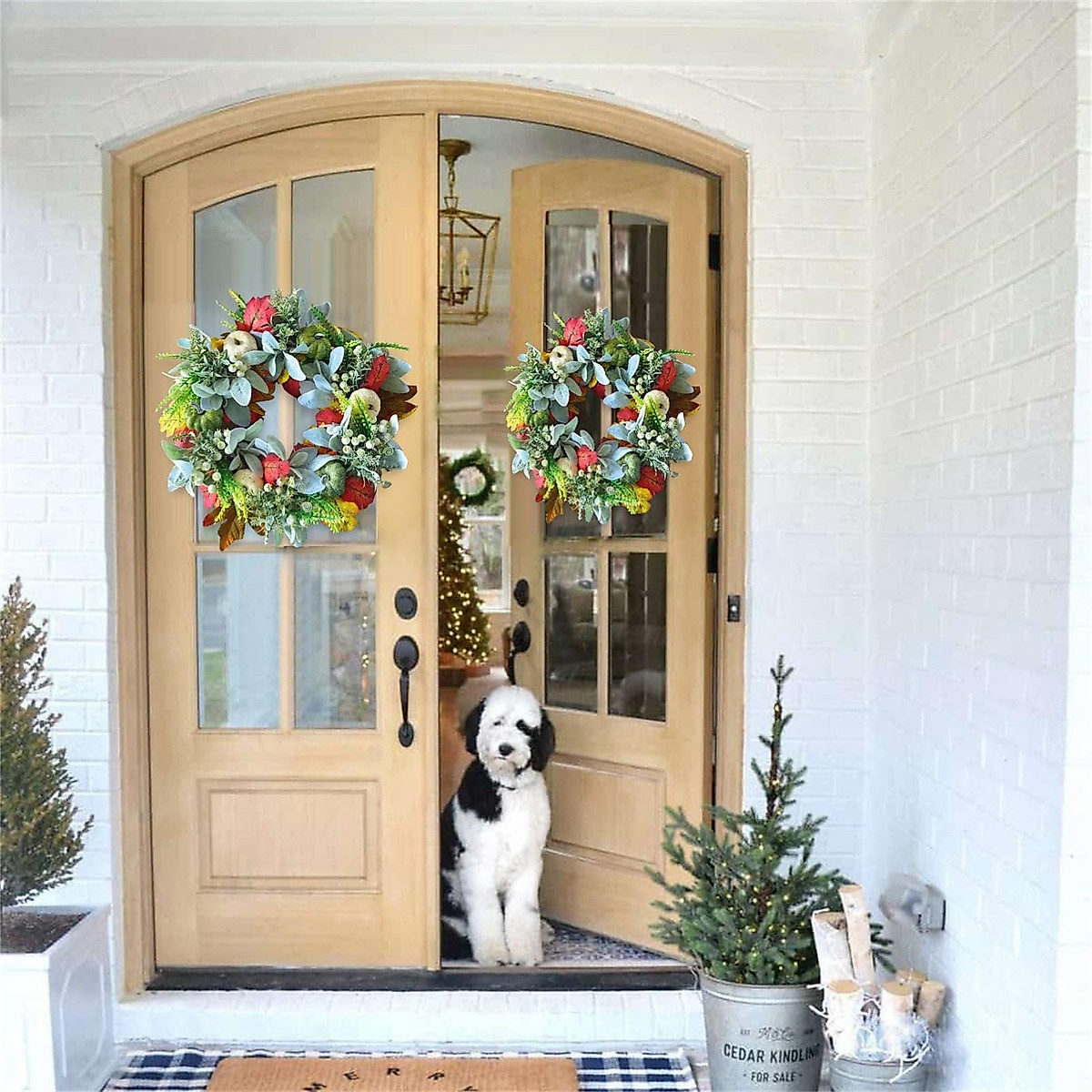 Fall Wreaths for Front Door Harvest Wreath with White Pumpkin Cotton Lamb's Ear Eucalyptus Leaves Farmhouse Autumn Wreath for Thanksgiving Halloween Decoration Indoor Outdoor (Maple-13.77IN)