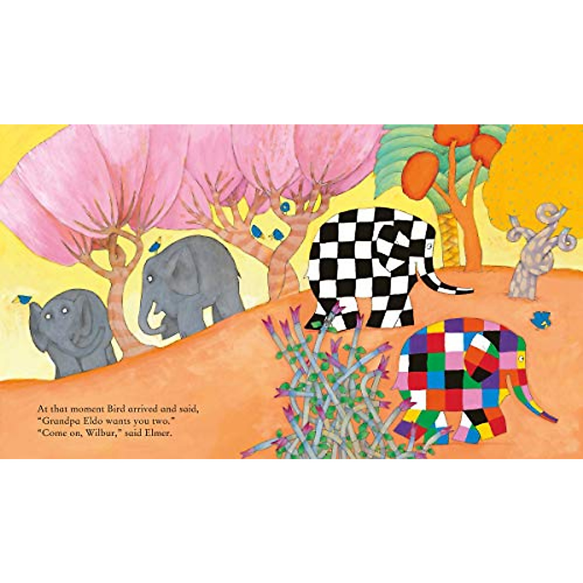 Elmer and Rose (Elmer Picture Books)