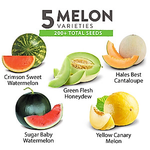 HOME GROWN 5 Melon Fruit Seeds Variety Pack - Watermelon Seeds, Melon Seeds, Cantaloupe, Sugar Baby Watermelon, Honeydew Fruit Seeds for Planting Home Garden - Non GMO Heirloom Seeds for Planting