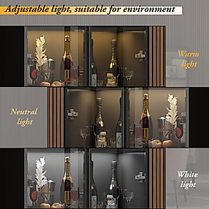 Homsee Bookcase Bookshelf with 4-Tier Shelves, 2 Glass Doors and LED Lights, Wooden Display Storage Cabinet for Home Office, Living Room, Black (31.5”W x 15.7”D x 63”H)