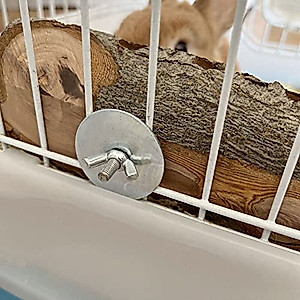 Shuoxpy Small Animal Natural Apple Wood Chew Toy, Guinea Pig Molar Apple Wood Treats for Chinchilla Guinea Pigs Rabbits Squirrel Hamster Bunny