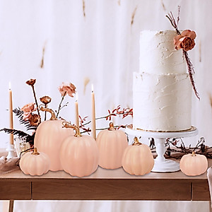 Winlyn 10 Pcs Assorted Artificial Blush Pink Pumpkins Decorative Fall Pumpkins Foam Pastel Light Pink Pumpkins for Fall Farmhouse Autumn Wedding Halloween Party Thanksgiving Festive Table Centerpiece