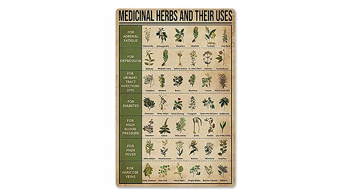 JIUFOTK Medicinal Herbs Metal Signs for Vintage Wall Decor