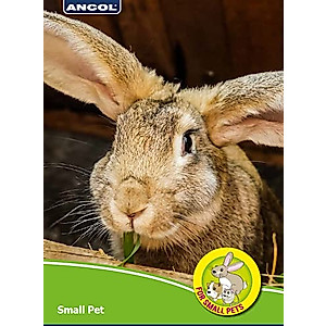 Ancol Small Animal Double Sided Comb