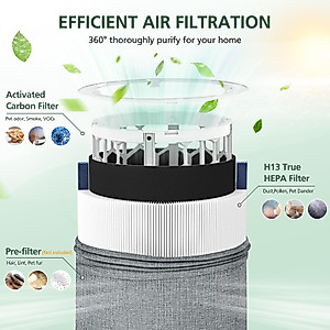 2 Pack Mini Max Replacement Filter Compatible with Blueair Blue Pure Mini Max Air Purifiers, Blue Pure FMINI Filter True HEPA & Activated Carbon Air Filter Fits for Blue Pure Mini Max