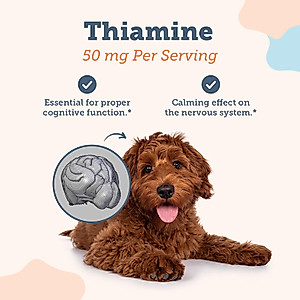 Paw Rangers 90Ct Calming Chews for cat and Dog Anxiety Relief-for All Pets, Cats, & Dog Vitamins and Supplements Made with Melatonin, Chamomile, Thiamine to Promote & Support a Calm Behavior for Pets