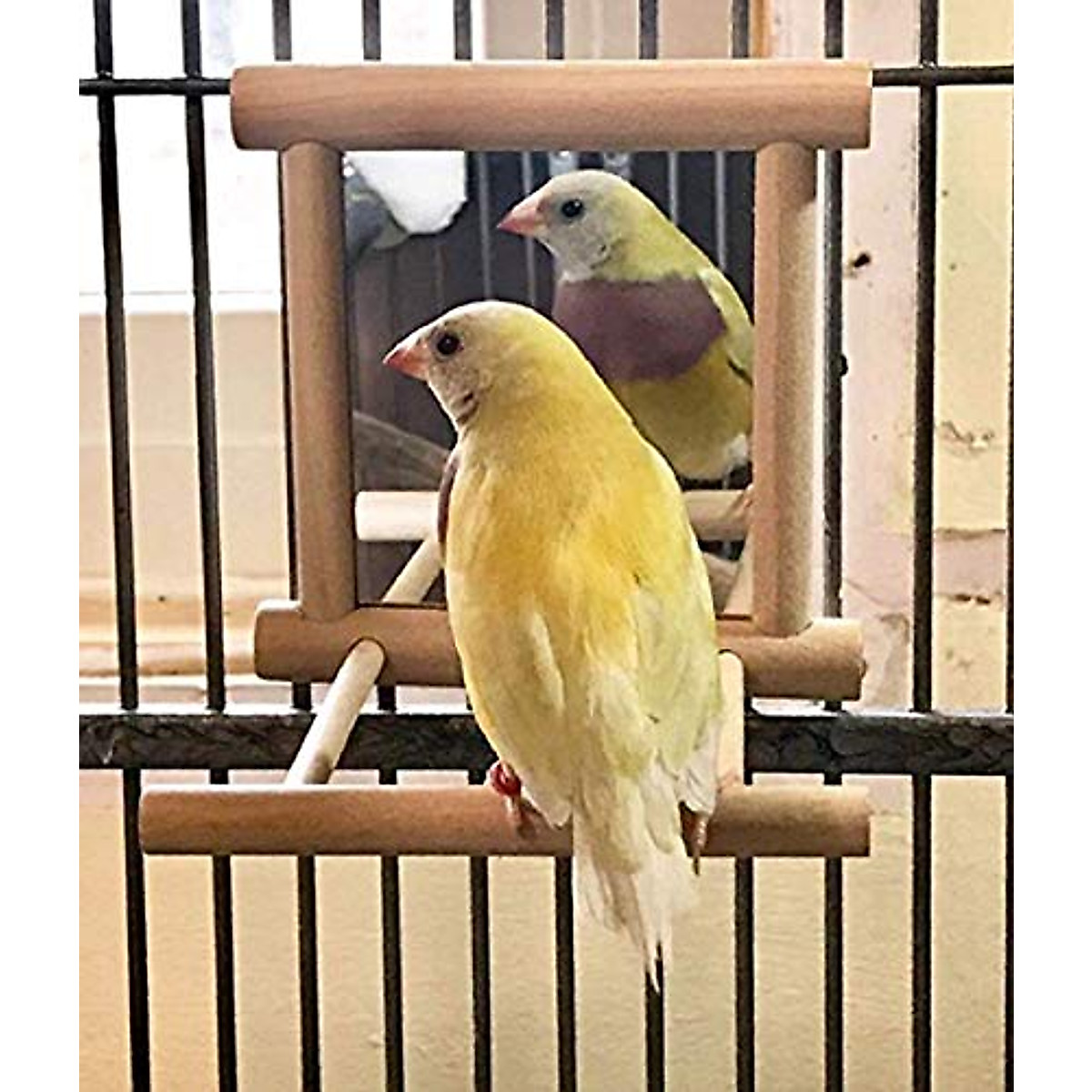 zmgmsmh Birds Toy for Cage,Parrot Hanging Swing with Mirror,Natural Wooden Play Toys, Pet Bird Cage Accessories with Metal Hook