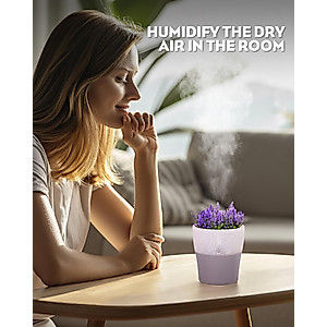 Small Humidifier For Plants, Mini Humidifiers For Bedroom Home, Lavender plant Cool Mist Humidifiers, 150m personal humidifier, Super Quiet And Waterless Auto Shut Off