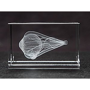 Eye 3D Laser 1lb Crystal, Anatomy, Ophthalmology