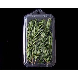 JA Kitchens .75 Ounce Small Herb Clamshell Container - Disposable - Pack of 20