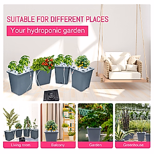 Lawnful 4 Hydroponic Buckets Kit for Plants, Hydroponics Growing System for Herbs/Tomato/Vegetables, DWC System with Air Pump & Germination Tray (Complete Indoor Hydroponic Gardening Supplies)