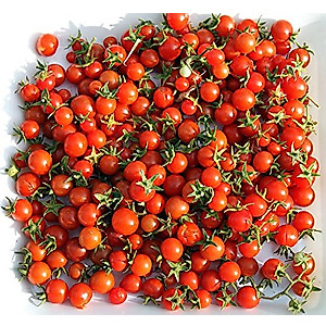 30+ Sweetie Cherry a.k.a. Sugar Sweetie Tomato Seeds, Heirloom Non-GMO, Extra Sweet, Heavy-Yielding, Indeterminate, Open-Pollinated, Delicious, from USA