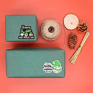 I Am So Lucky Gnome Patrick's Day Sticker,Cute Small Business Envelopes Stickers for Handmade Goods Business Packages ,Patrick's Day Theme Small Shop Business Stickers for Envelopes Seals 180 Labels