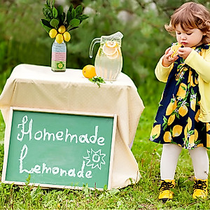 Chuangdi 10 Pieces Artificial Lemon Branches Lemon with Green Leaves Picks Artificial Lemon Picks Decoration for Home or Table Centerpiece, Holiday Farmhouse Garden Kitchen Vase Decoration