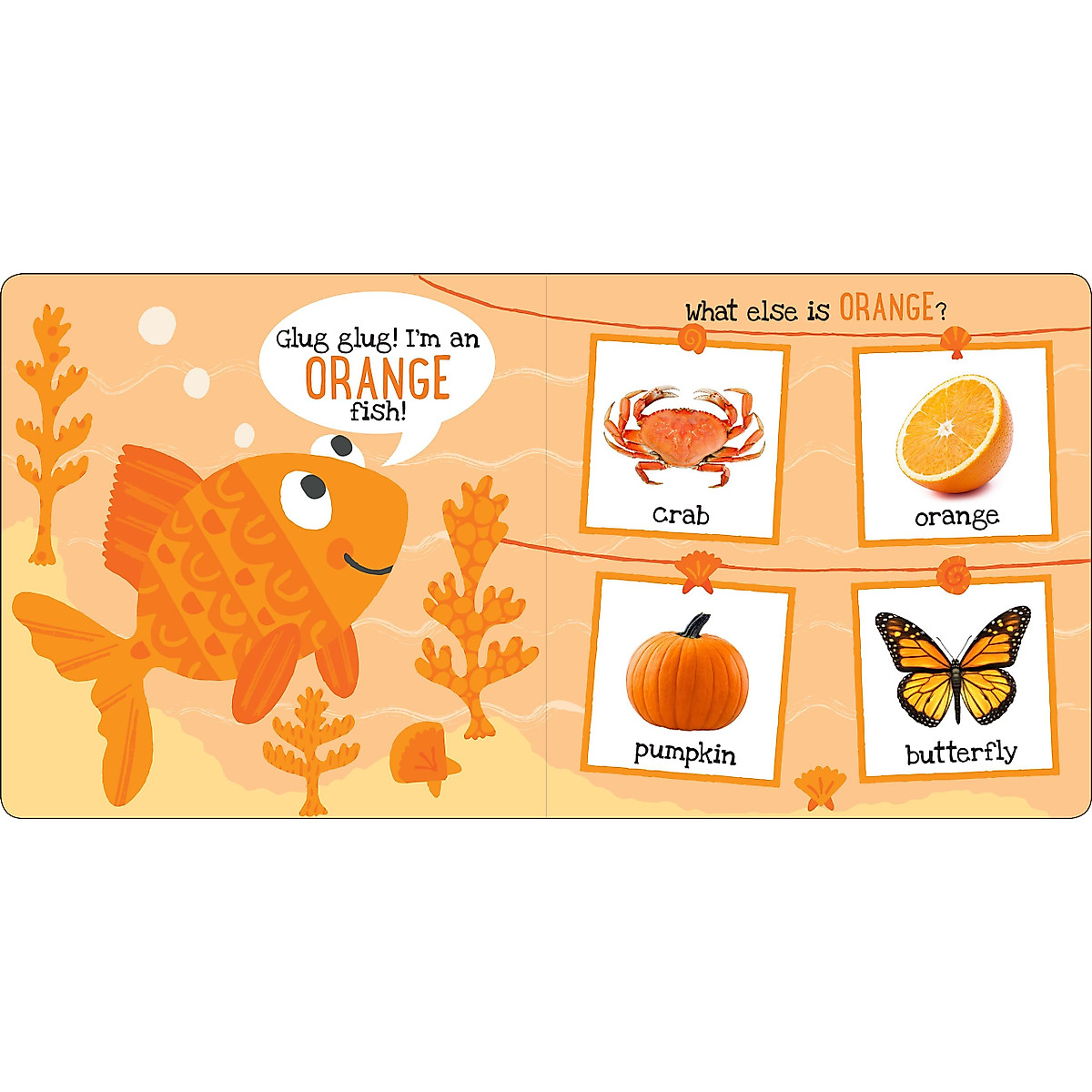 My First COLORS Padded Board Book