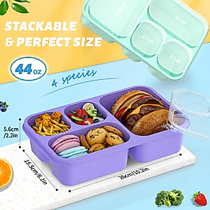 Bento Box for Adults and Snack Containers Set of 4 - Stackable, with 4 Compartments, Microwave & Dishwasher Safe, BPA Free - Reusable Meal Prep Containers for Kids and Adults (4 Colors)