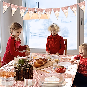 Rose Gold Party Supplies, Rose Gold Birthday Party Decorations for Girls, Women, Includes Dinner Plate, Dessert Plates,Tableware, Rose Gold Tablecloth, Cups, Table Napkins, Flag, Serves 20 Guests