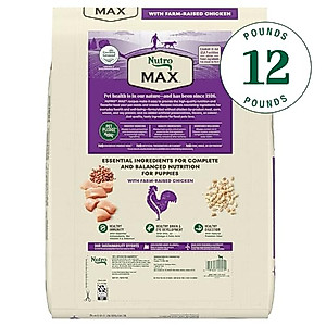 NUTRO MAX Puppy Recipe Dry Dog Food With Farm-Raised Chicken, 12 LB Bag