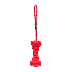 PetPurpose Interactive Dog Toys for Aggressive Chewers, Puppies, and Active Dogs with Rubber Teeth Cleaning Textured Chew Surface and Throw or Tug Rope, Heavy Duty (Red)