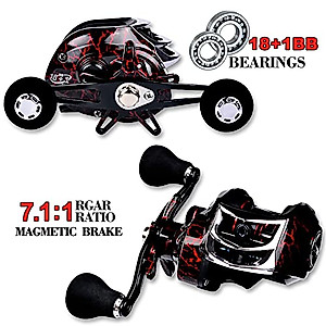 TEQIN Fishing Baitcasting Reel, 18+1BB Drag Baitcasters, Magnet Braking System Bait Caster Reel, 7.1:1 Gear Ratio Ultra Smooth Baitcaster Fishing Reel DW121R Right Hand