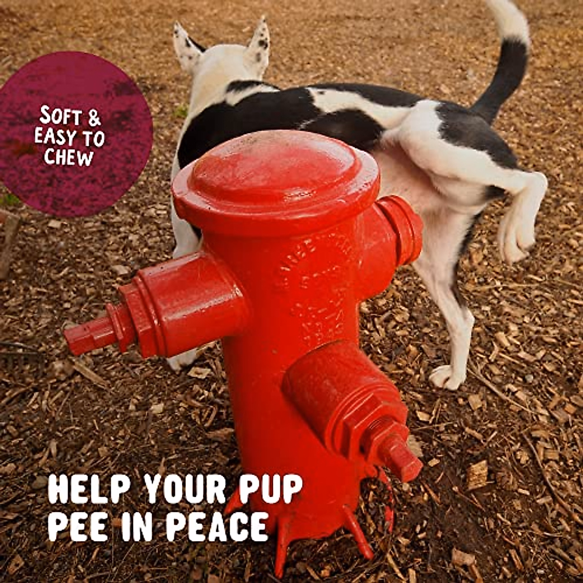 Active Chews | Cranberry Supplement for Dogs | Dog UTI, Bladder Control for Dogs | Dog Kidney Support, Dog Cranberry Supplement, Dog Health Supplies, Dog Incontinence Products | 120 ct