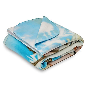 Northwest Disney Frozen, 'Snow Journey' Fleece Throw Blanket, 45' x 60', Multi Color, 1 Count