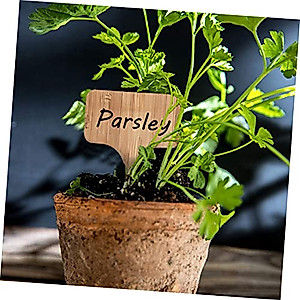 Baluue 90 Pcs Plant Label Vegetable Wooden