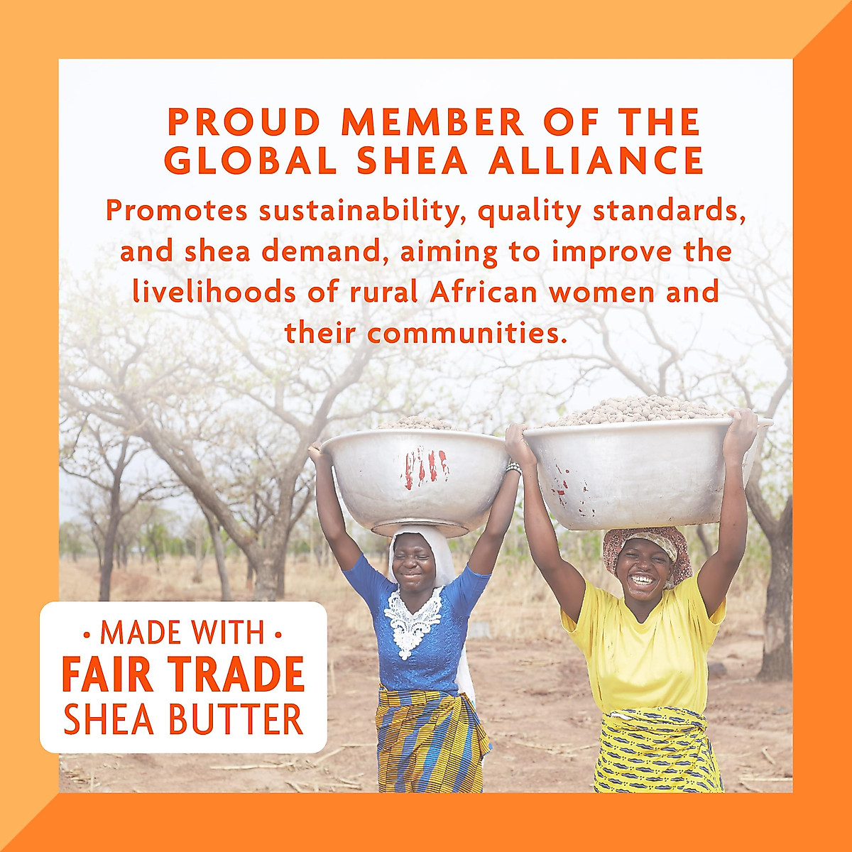 Cantu Leave-In Conditioning Repair Cream with Shea Butter, 16 oz (Pack of 2) (Packaging May Vary)