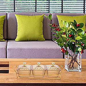 Cabilock Serving Bowls Condiment Serving Tray 3 Clear Appetizer Bowls Set with Iron Rack Chip Dips Snack Dish Buffet Server Food Display Relish Platter for Fruit Dessert Nuts Candy Decorative Tray