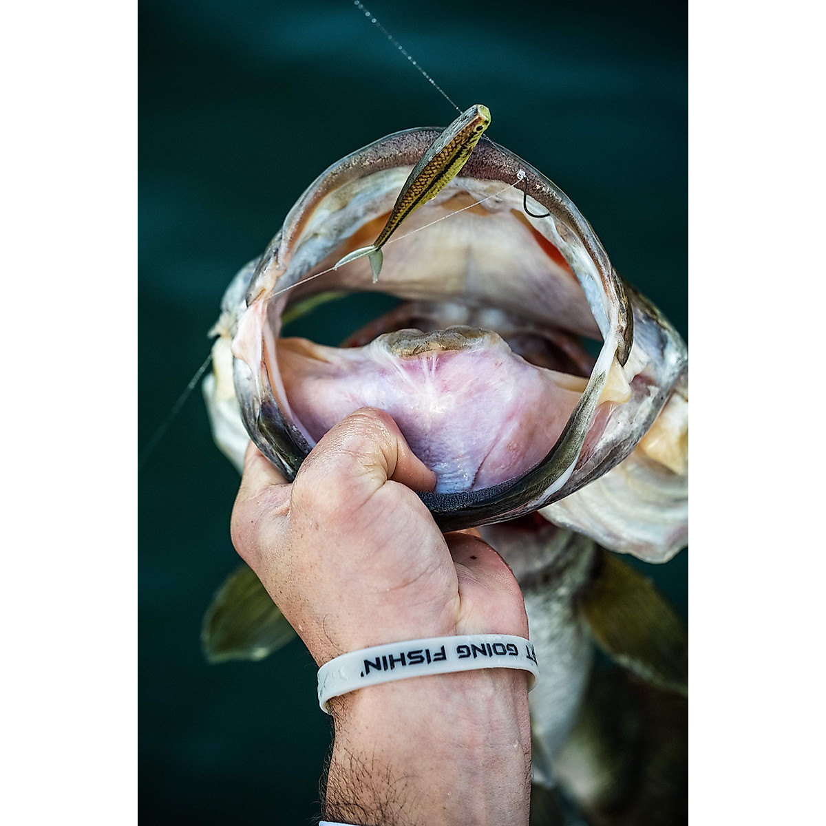 PowerBait The Champ Minnow - PBTCM3.4-PW