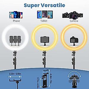 22" Ring Light Selfie Ring Light Kit with 75" Tripod, 6500K Dimmable LED Ring Light, Carrying Bag for Phone, Camera, ipad, YouTube, Facebook, TikTok, Video Recording