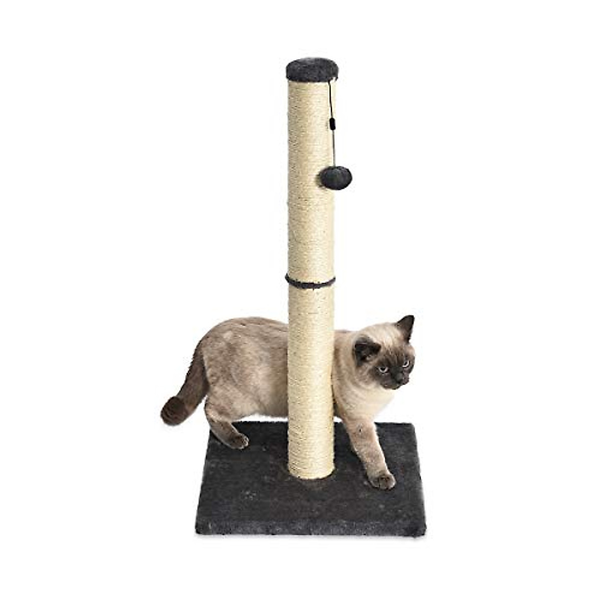 Amazon Basics Cat Scratching Post, Medium, 15.75" x 15.75" x 31.5"H, Grey