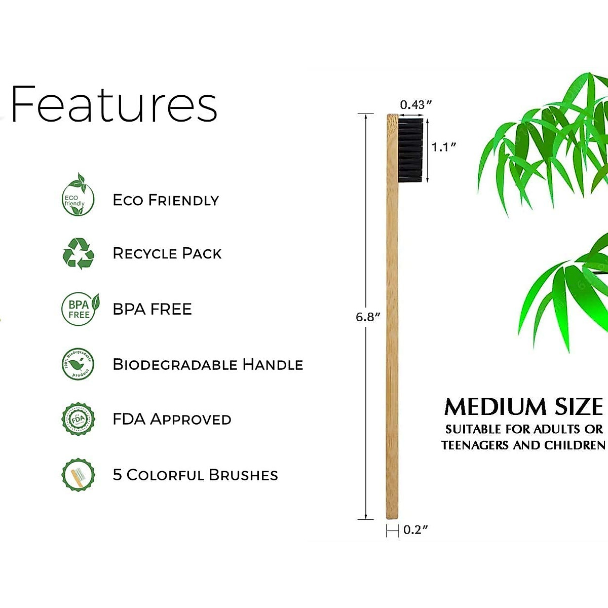 ECOETBOO Bamboo Toothbrushes Medium Bristles for Adult, 10 Pack Family Bulk Toothbrushes Set Natural Organic Wooden Tooth Brush Charcoal Wood Handle Eco Friendly Toothbrush