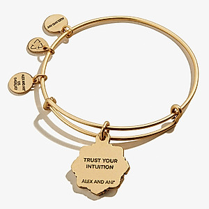 Alex and Ani Token of Wisdom Charm Bangle Bracelet - Rafaelian Gold Finish - 2 to 3.5 in