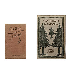 Creative Co-Op MDF & Canvas Book, Set of 2 New England Landscapes Storage Box, Multi Color, 2 Count