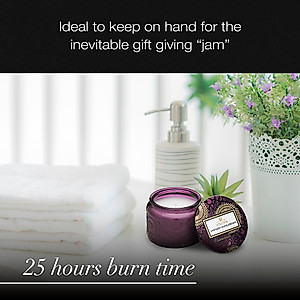 Voluspa Santiago Huckleberry, Petite Candle Jar, 3.2 Ounce, 25 Hour Burn Time, All Natural Wicks and Coconut Wax for Clean Burning, Vegan, Poured in the USA