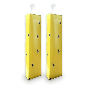 Pic FSTIK-2 Fly Traps, yellow