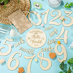 Baby Monthly Milestone Numbers and Words Circles Wooden Signs Baby Photo Props Newborn Birth Announcement Card with a Canvas Drawstring Bag for Pregnancy and Baby