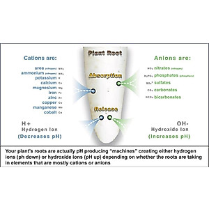 Advanced Nutrients Sensi Grow Part A+B WSP Professional Series 25lbs Set