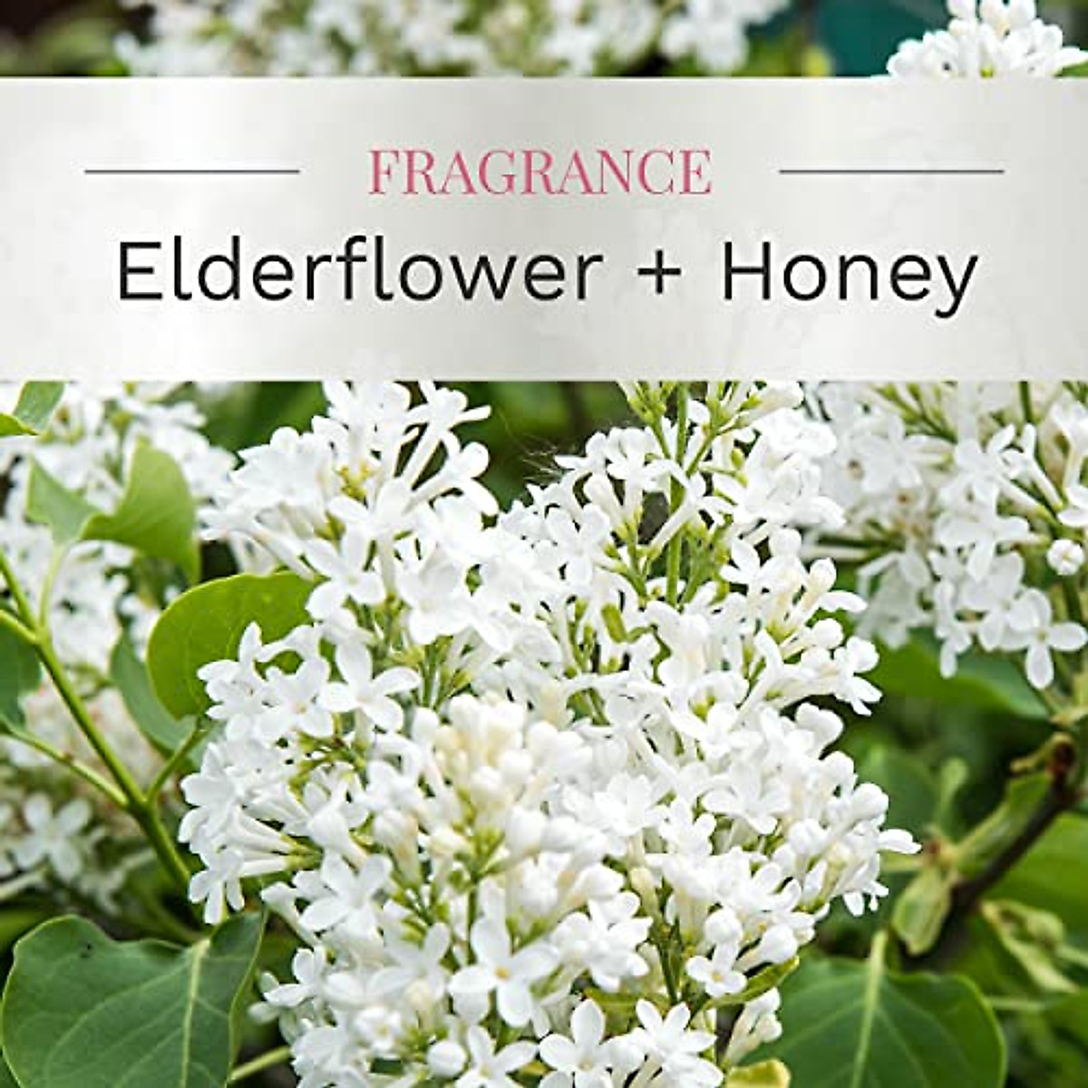 Essential Elements by Candle-lite Scented Candles, Elderflower & Honey Fragrance, One 9 oz. Single-Wick Aromatherapy Candle with 50 Hours of Burn Time, Off-White Color