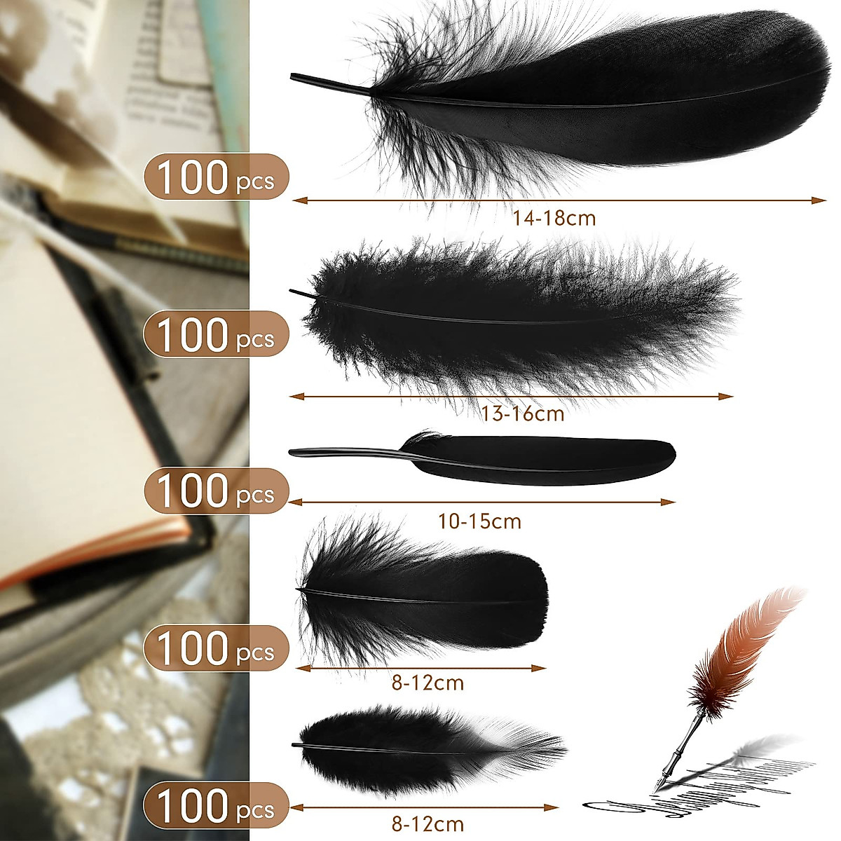 500 Pcs Halloween Black Assorted Crafts Feathers 4 Styles Mixed Feathers Black Feathers for Crafts Chicken Turkey Goose Feathers Supplies for DIY Wedding Home Party Costume Clothing Accessories