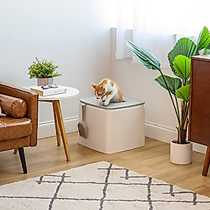 IRIS USA Large Premium Square Top Entry Cat Litter Box with Scoop, Kitty Litter Pan with Litter Particle Catching Cover and Privacy Walls, White/Gray