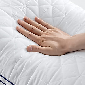 BedStory Pillows for Sleeping,Standard Pillows Set of 2,Cooling Pillows with Mesh Design,Premium Soft Down Alternative Fill Supportive for Back, Stomach or Side Sleepers