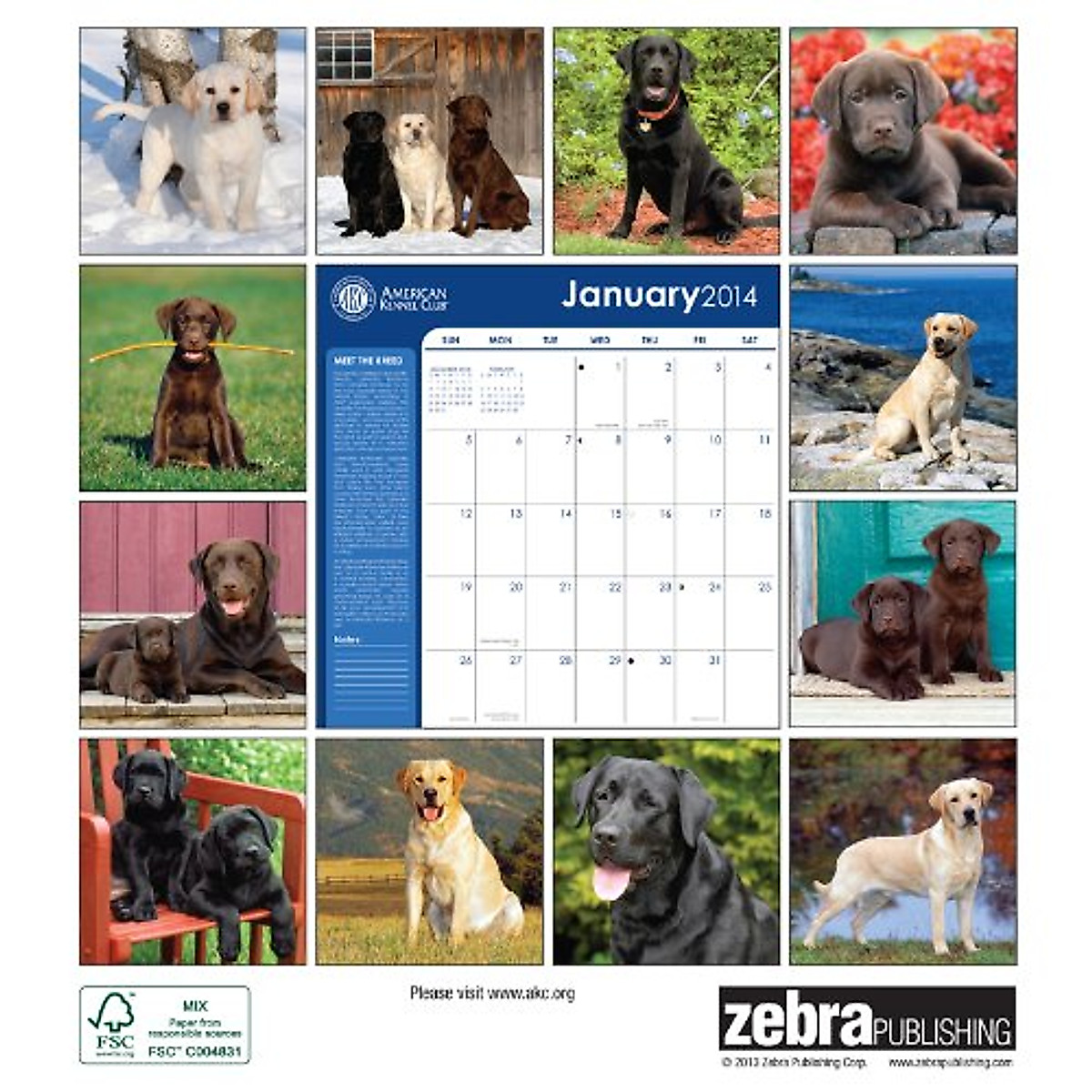 2014 Labrador Retrievers - American Kennel Club Wall