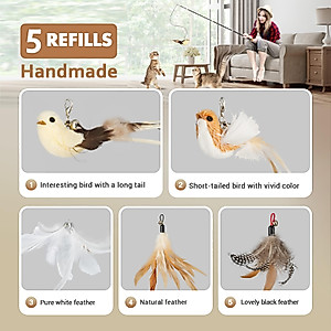 ROSAUI Cat Teaser Wand Toys, Interactive Bird Toys for Indoor Kittens, 43’’ Long cat Fishing Pole Toys, 2pcs Wires and 5pcs Natural Refills, Sustainable Wooden Handles, Exercising, Playing